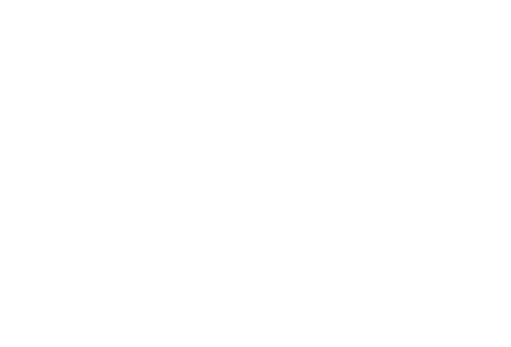 The APPIES 2025