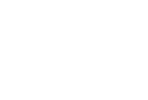 The APPIES 2025
